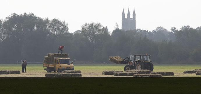 Floodplain meadow management | Floodplain Meadows Partnership